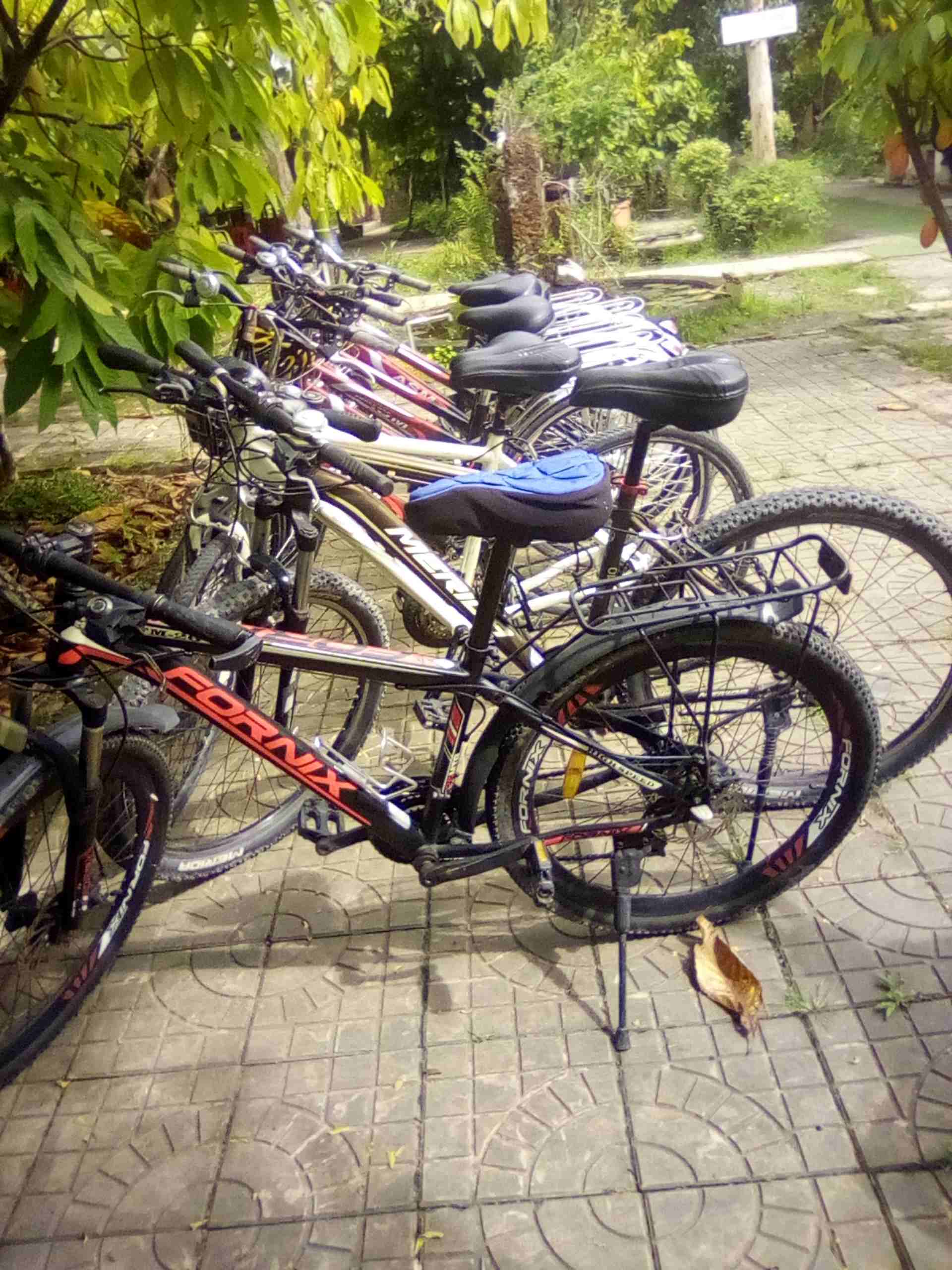 Bicycle For Rent